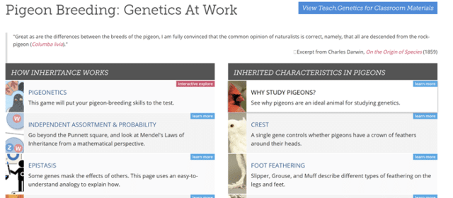 genetics – Gifted Guru